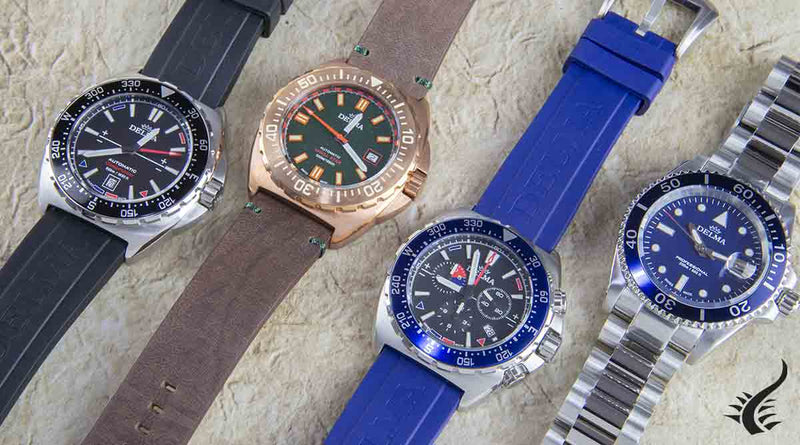 Discovering Delma Watches - Iguana Sell